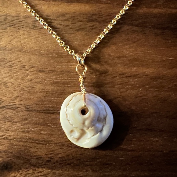 Jewelry | Mermaid Money Shiva Eye Shell Operculum Pacific Cats Eye ...